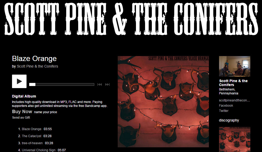 Image from Blaze Orange Photography Series on Album Cover | Blaze ...
